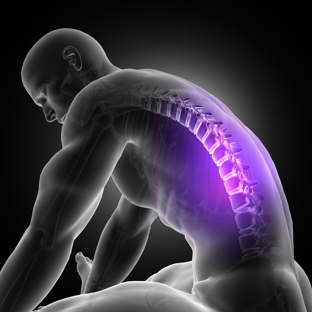 Lower Back Pain – The Aloe Man, Inc.